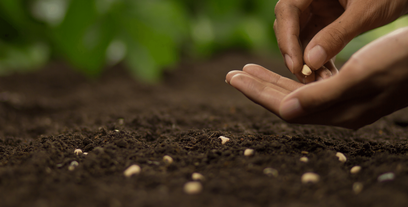 Municipios PDET y ZOMAC